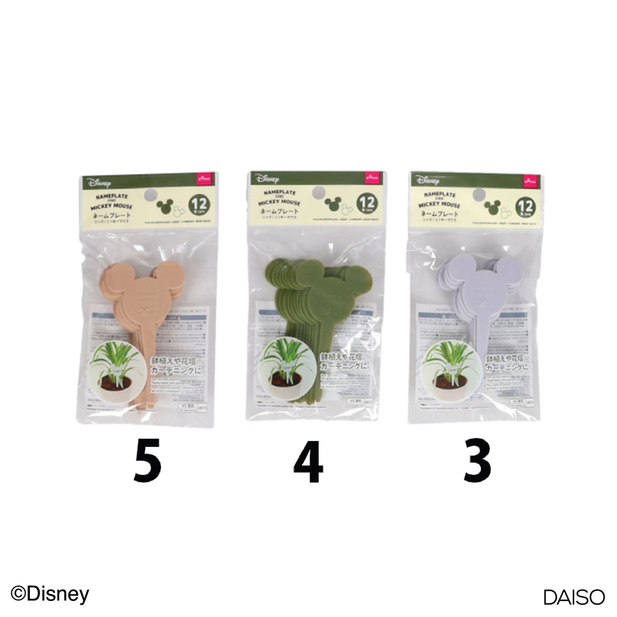 Nameplate - Chic - 12pcs - Mickey Mouse – DAISO SINGAPORE