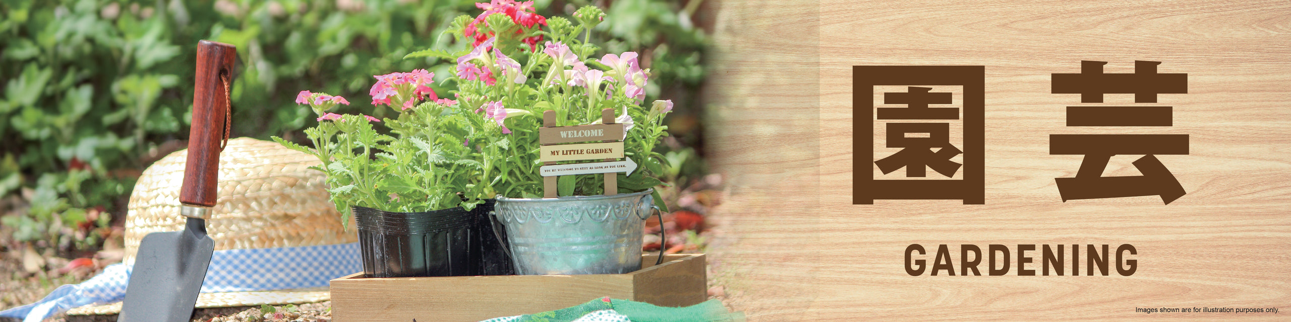 X07_Flower Pots/Planters – DAISO SINGAPORE